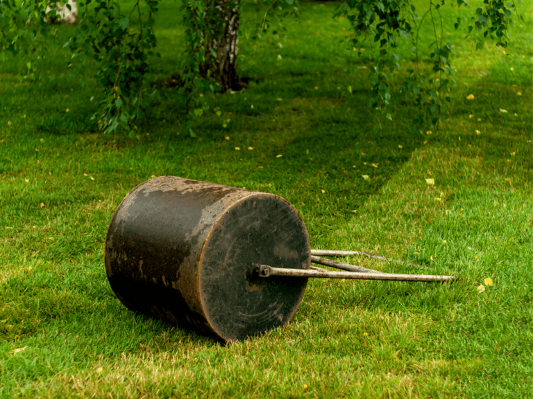 Does Rolling Your Lawn Really Work? - Guide - How To Fix A Bumpy Lawn ...