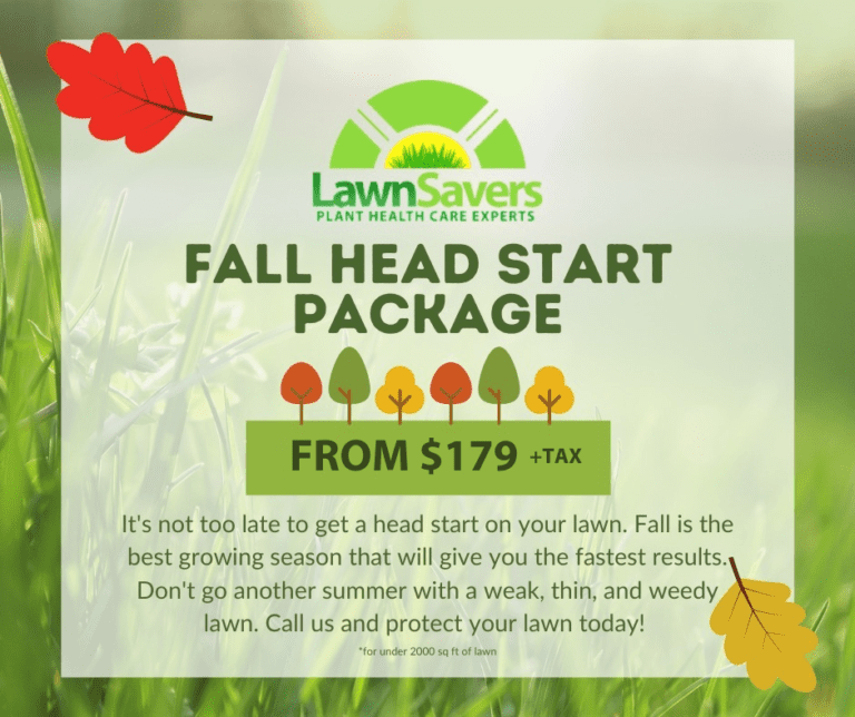 Lawn Care Savings Coupon - LawnSavers Weed Control