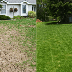 BEST Lawn Aeration Toronto With Before & After Photos - The #1 Most ...
