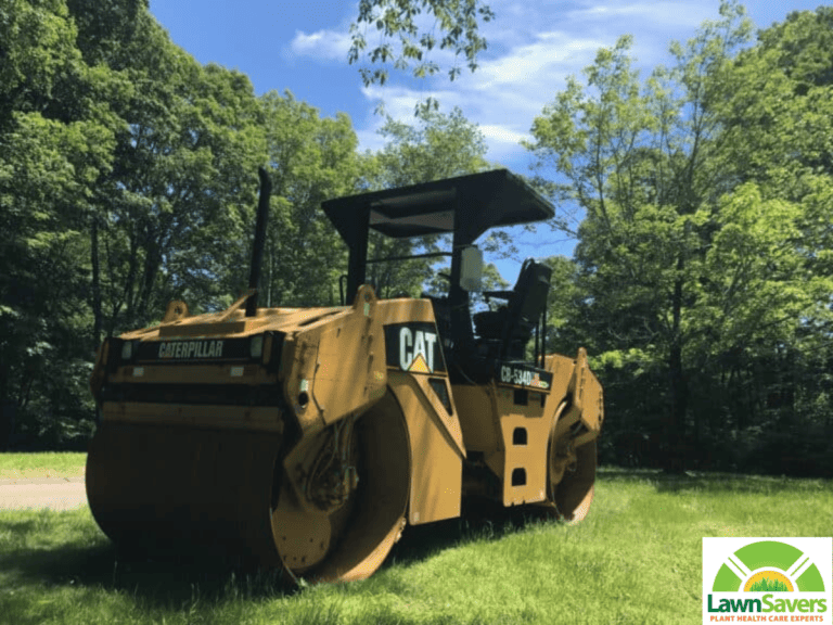 Lumpy-Bumpy Lawn - Causes and Fixes (How to Repair a Bumpy Lawn ...