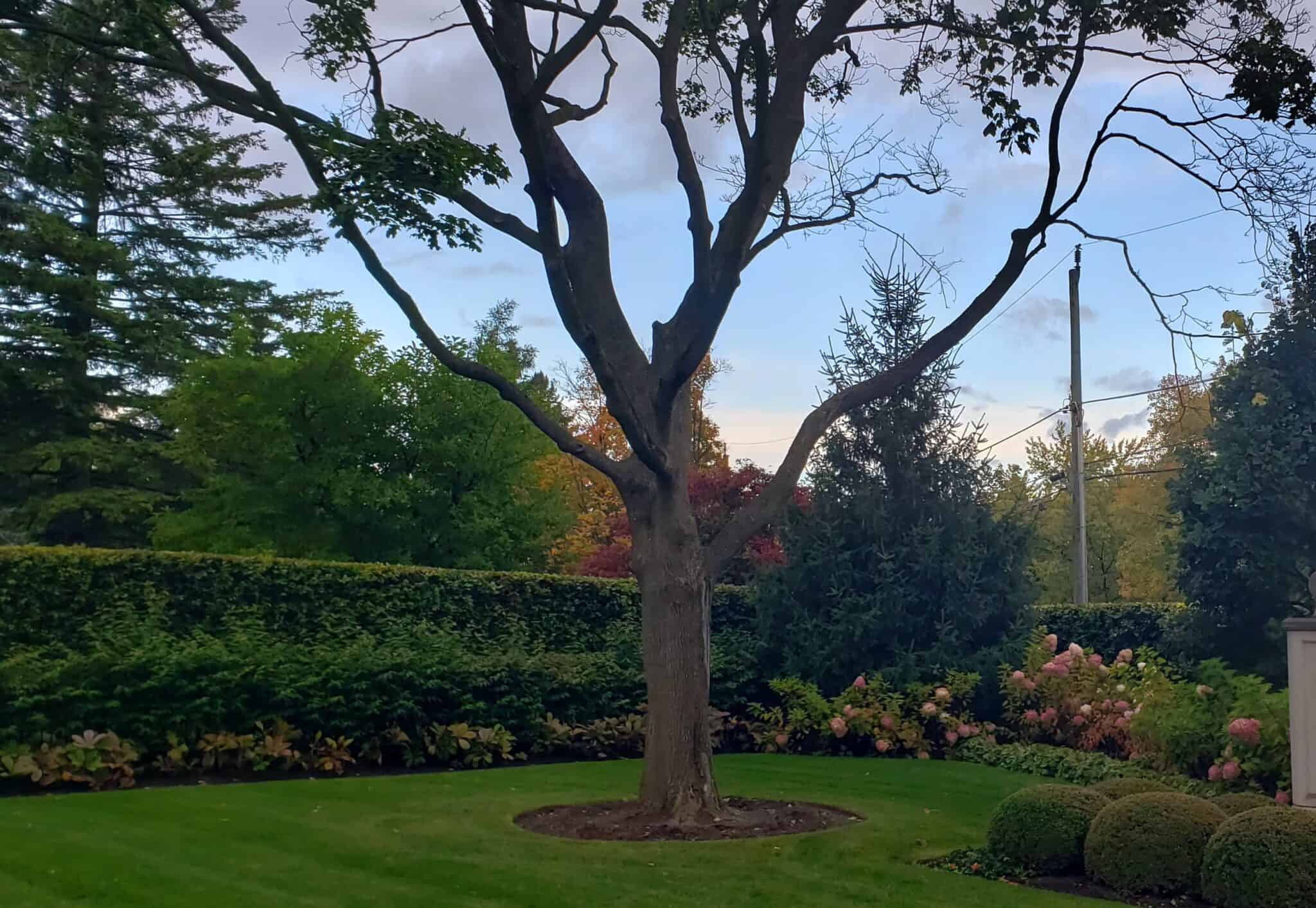 Deep-Root Fertilization - LawnSavers Weed Control
