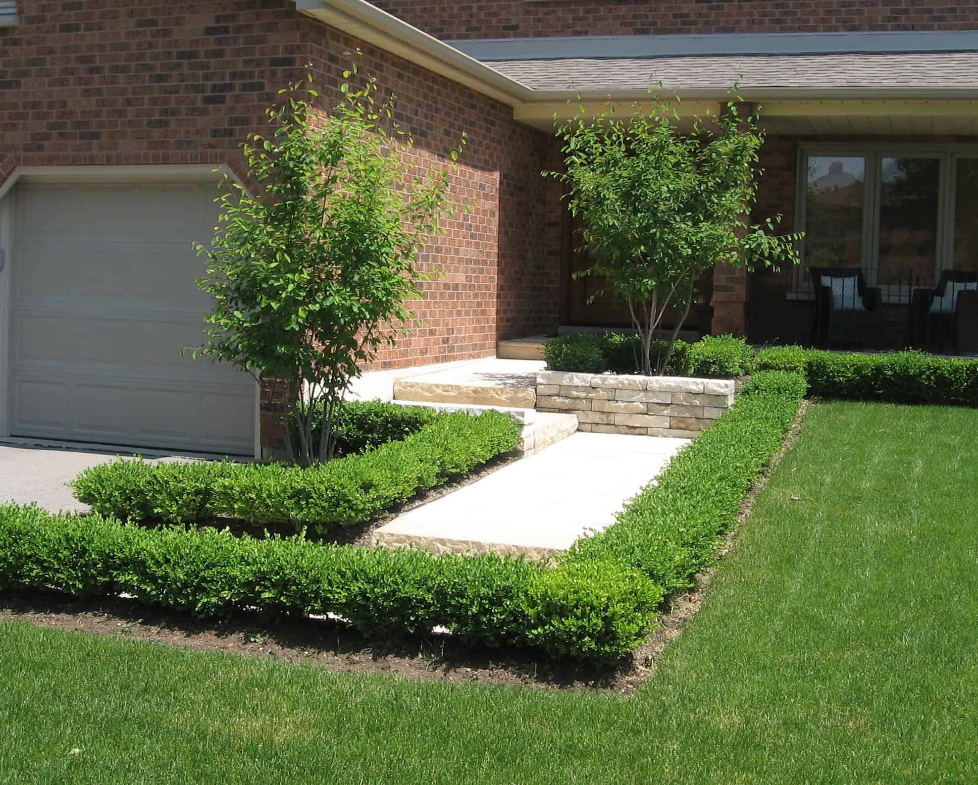 Box Tree Moth of Boxwoods - LawnSavers Weed Control