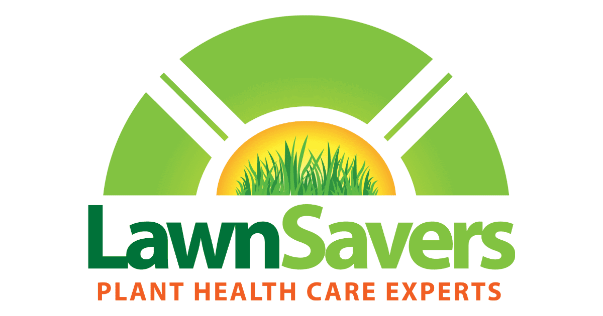 Lawn Aeration in Spring - Core vs Liquid Aeration Explained - When ...