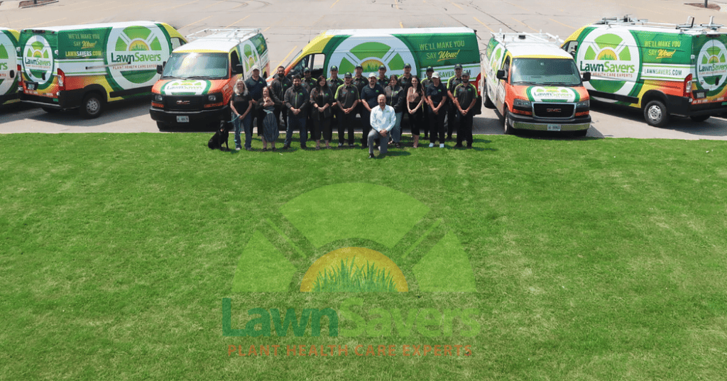 The BEST Local Lawn Care Team- LawnSavers Fertilizing & Weed Control